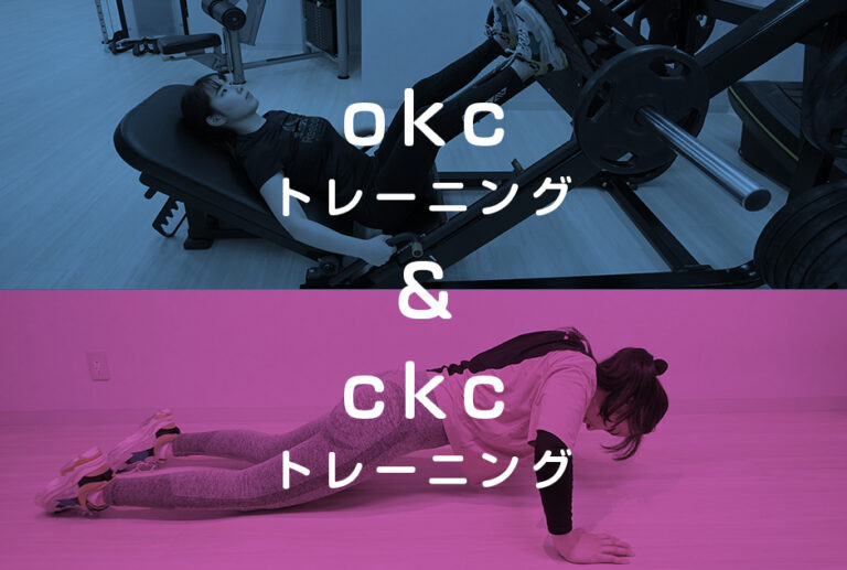 okcトレーニングとckcトレーニングの理解と活用法 | navis